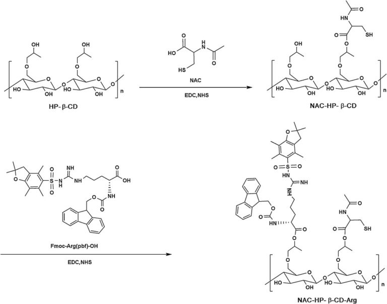 経口インスリン送達のためのNACとArg修飾HPBCDを基盤とした包接複合体 | アジアシクロデキストリンニュース